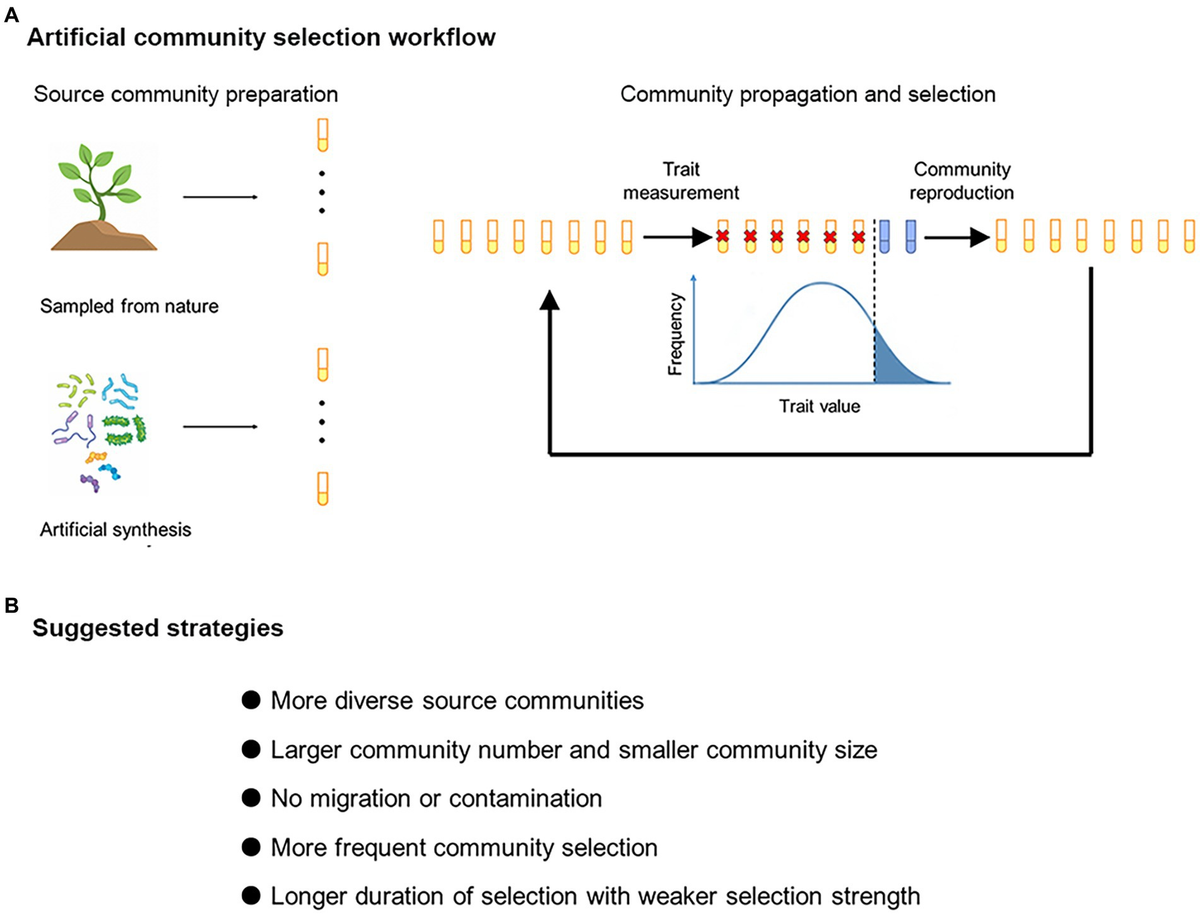 Frontiers | The effectiveness of artificial microbial community ...