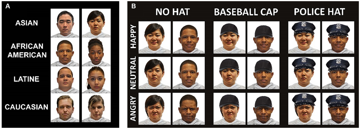 Frontiers | Trust in the police and affective evaluation of police ...