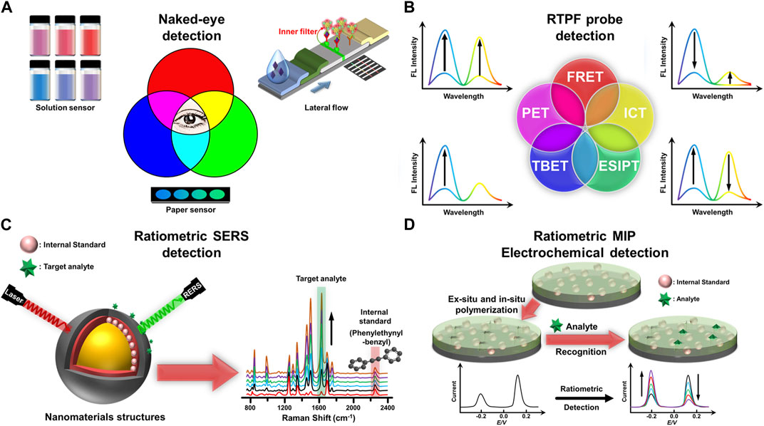 Frontiers | Maximizing analytical precision: exploring the advantages ...