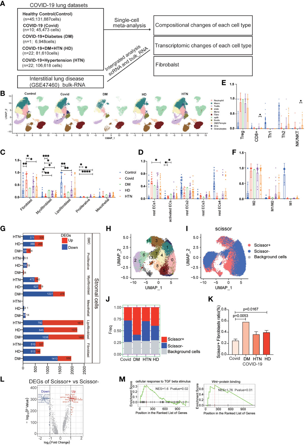 Frontiers | Single-cell RNA sequencing analysis of lung cells in COVID ...