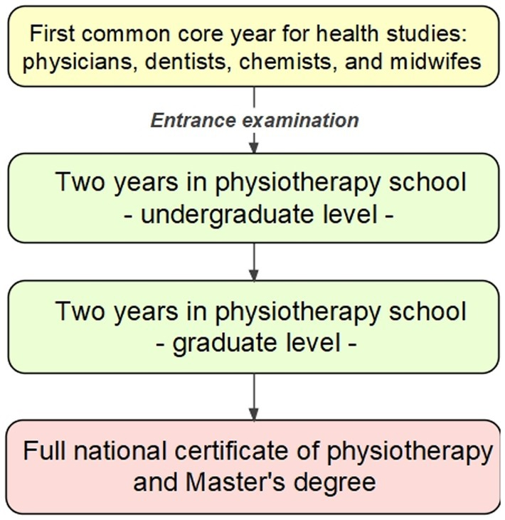 Frontiers | Pedagogical impact of integration of musculoskeletal ...