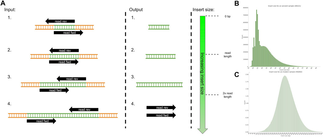 Frontiers | Benchmarking software tools for trimming adapters and ...