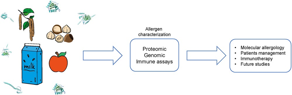 Frontiers | Molecular allergology and its application in prevention ...
