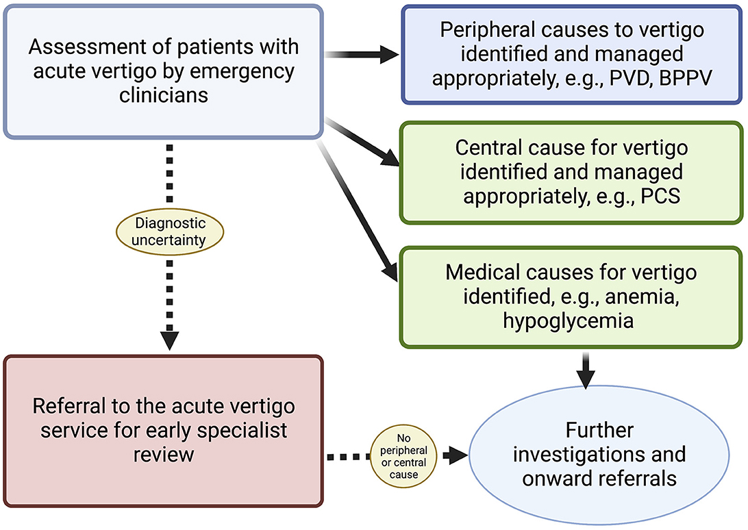 Frontiers | Hyperacute vestibular syndrome: the role of an acute ...