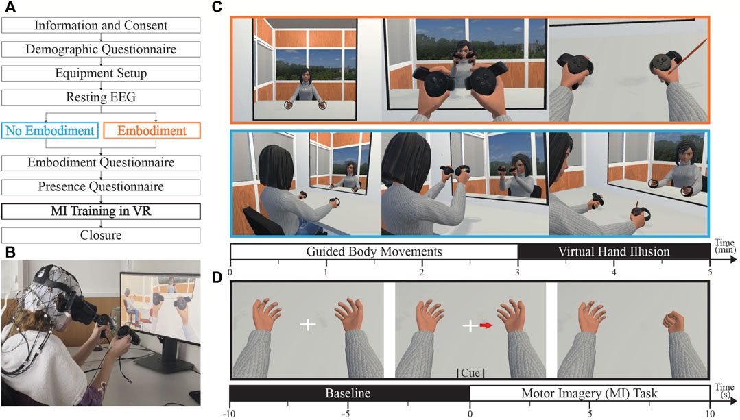Frontiers | Avatar embodiment prior to motor imagery training in VR ...