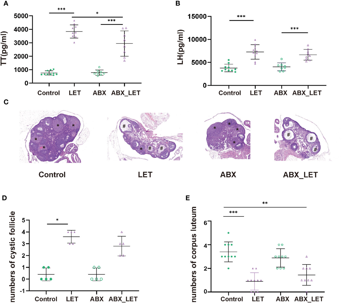 Frontiers | Depletion of gut microbiota influents glucose metabolism ...