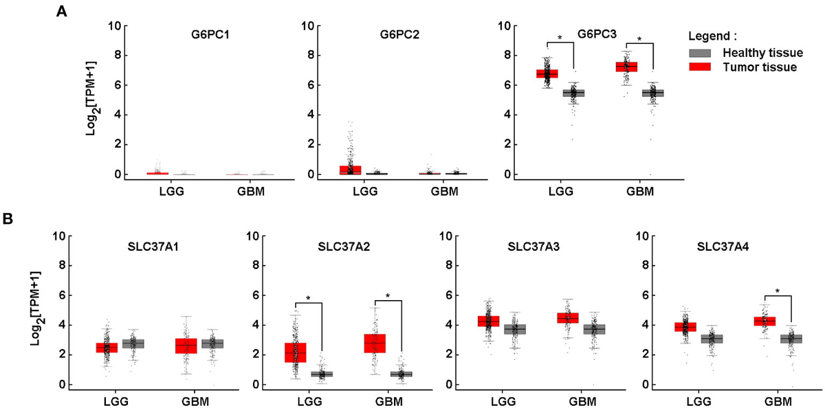 Frontiers | A molecular signature for the G6PC3/SLC37A2/SLC37A4 ...