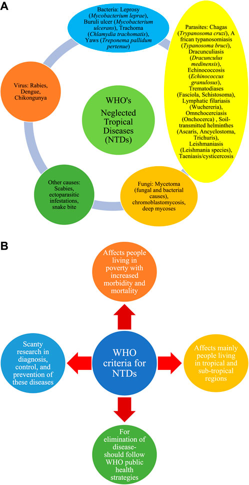 Frontiers | Editorial: Re-emergence of neglected tropical diseases amid ...