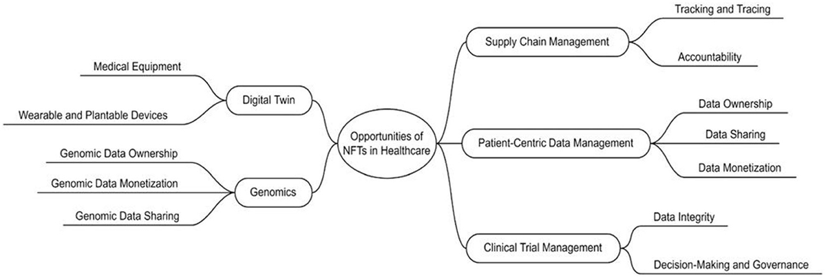 Frontiers | Non-fungible tokens in healthcare: a scoping review