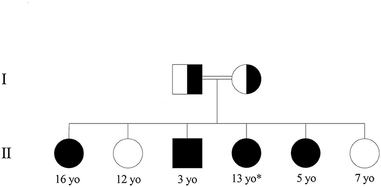 Frontiers | Case report: Diagnosis of ADCY5-related dyskinesia ...
