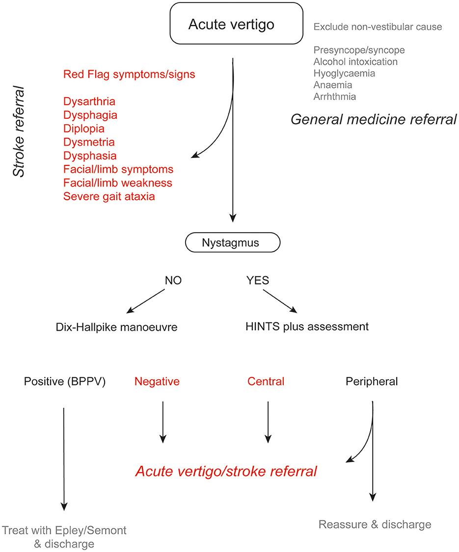 Frontiers | Hyperacute assessment of vertigo in suspected stroke
