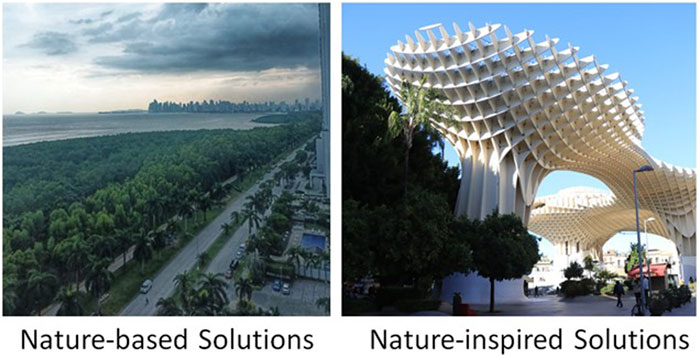 Frontiers | How bio-inspired solutions have influenced the built ...