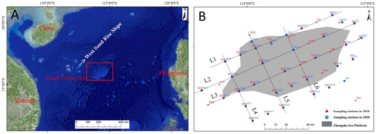 Frontiers | Composition and concentration of suspended matter in the ...