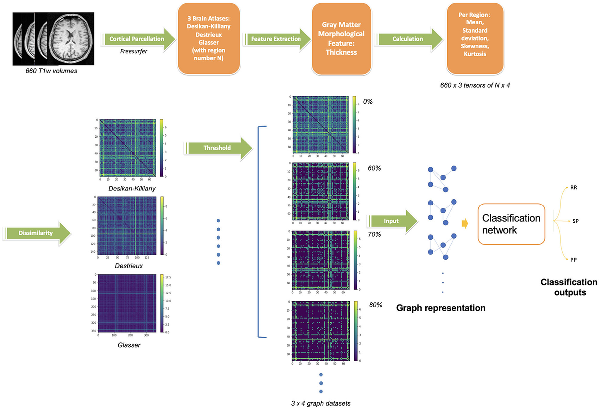 Frontiers | Multiple sclerosis clinical forms classification with graph convolutional networks ...