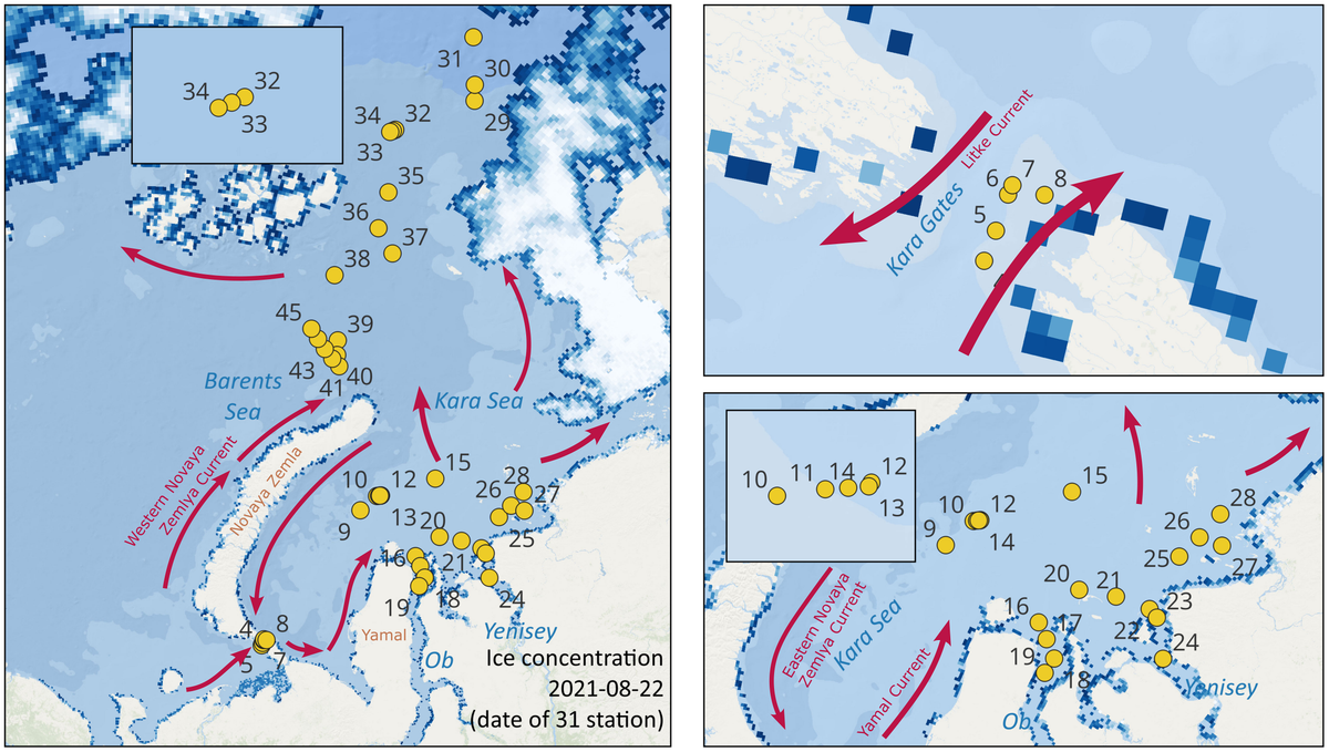 Frontiers | Surface microplastics in the Kara Sea: from the Kara Gate ...