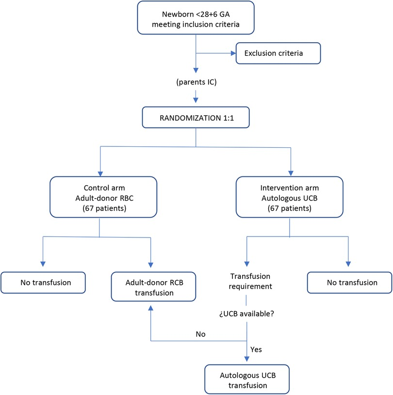 Frontiers | Effect of autologous umbilical cord blood transfusion in ...