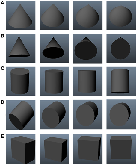 Frontiers | Unsupervised invariance learning of transformation sequences in a model of object ...
