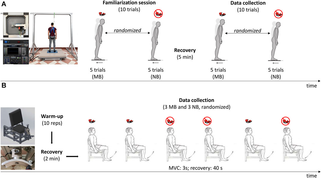 Frontiers | Concurrent activation potentiation improves lower-limb ...