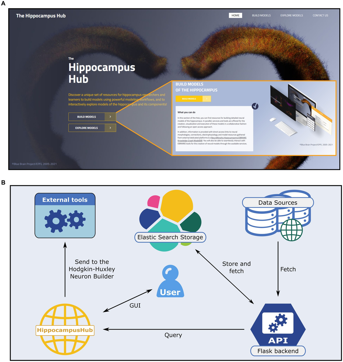 Frontiers | Online interoperable resources for building hippocampal neuron models via the ...
