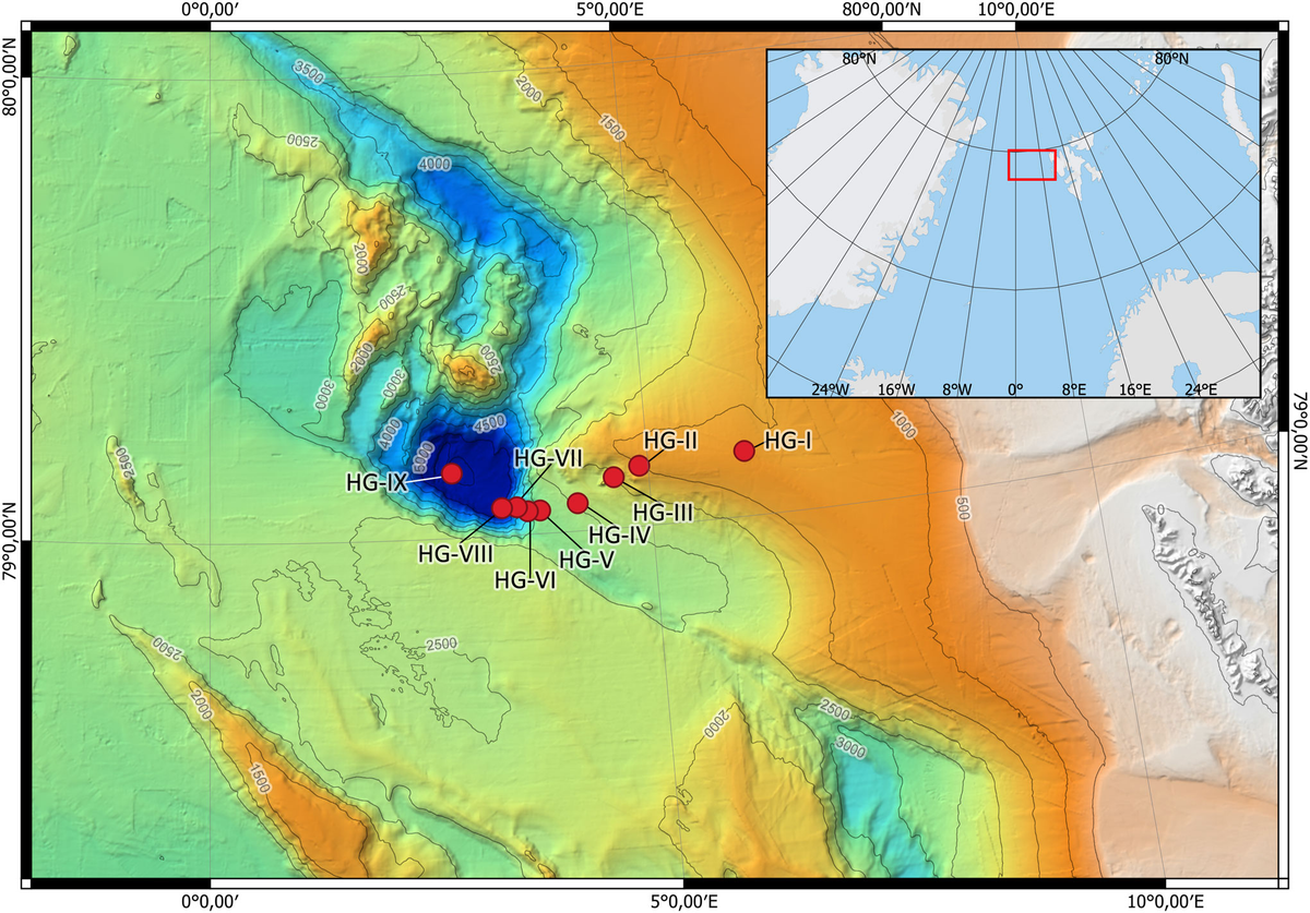 Frontiers | Nematode communities along a bathymetric transect in the ...