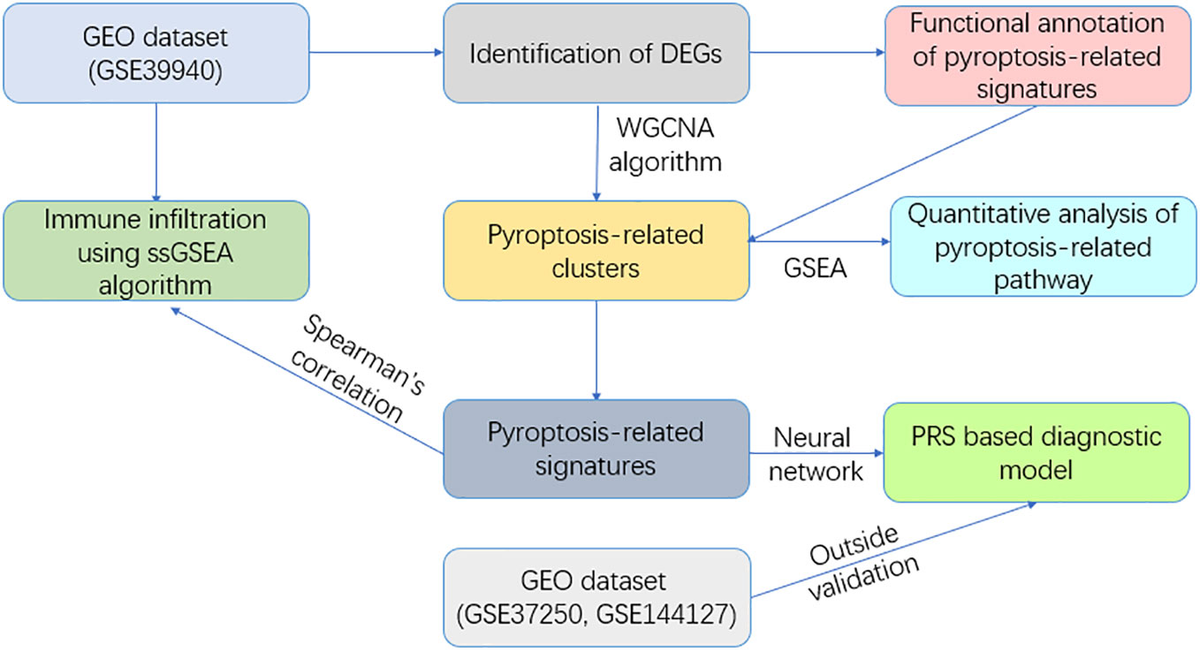 Frontiers | Identification and validation of a pyroptosis-related signature in identifying ...
