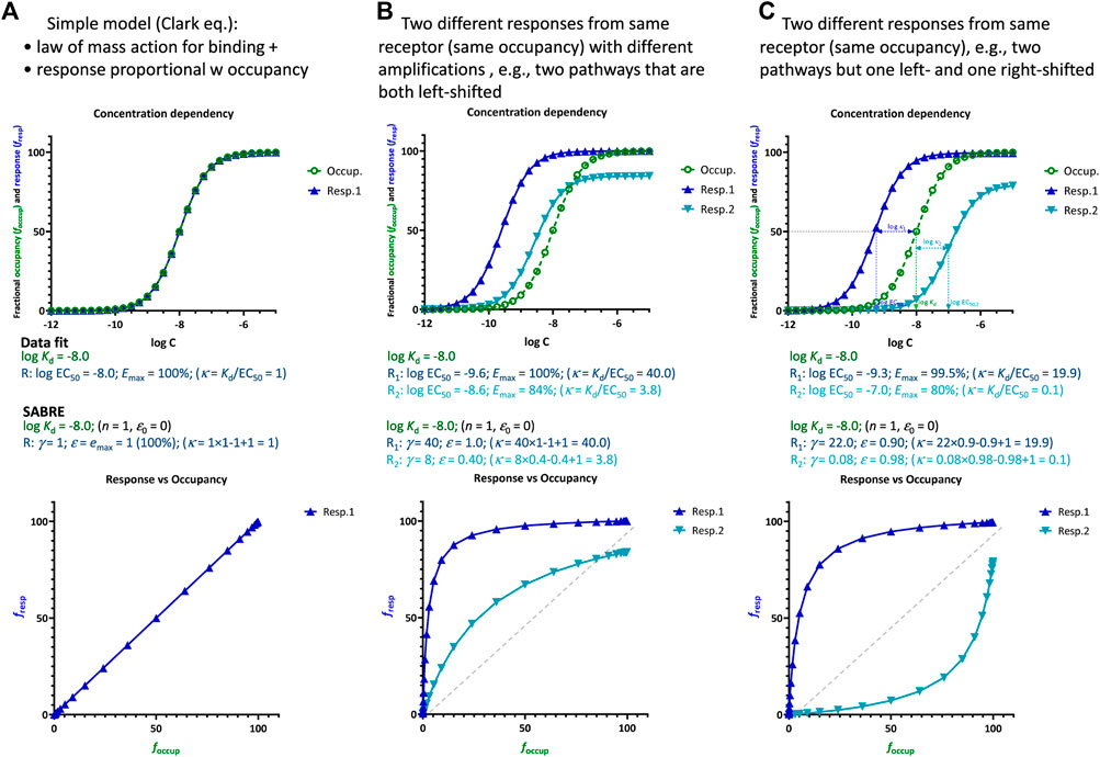 Frontiers | Quantitative receptor model for responses that are left- or ...