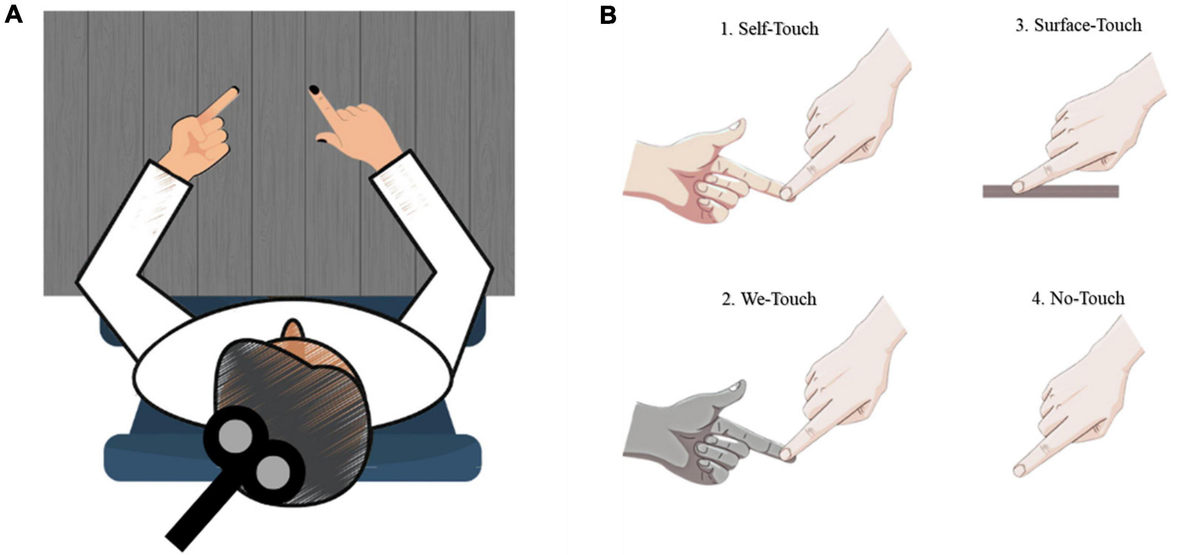Frontiers | Neural underpinnings of the interplay between actual touch ...
