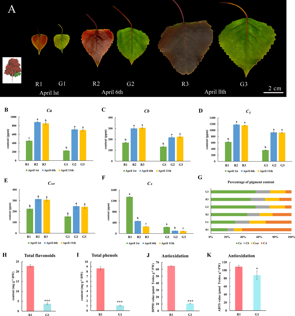 Frontiers | Metabolome combined with transcriptome profiling reveals ...