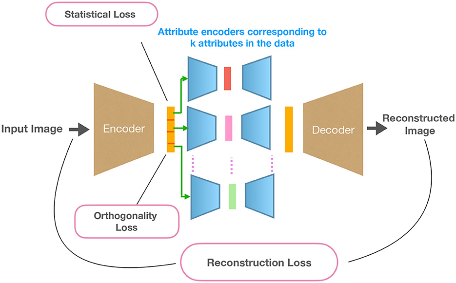 Frontiers | Orthogonality and graph divergence losses promote disentanglement in generative models