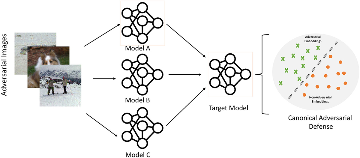 Frontiers | Leveraging linear mapping for model-agnostic adversarial ...