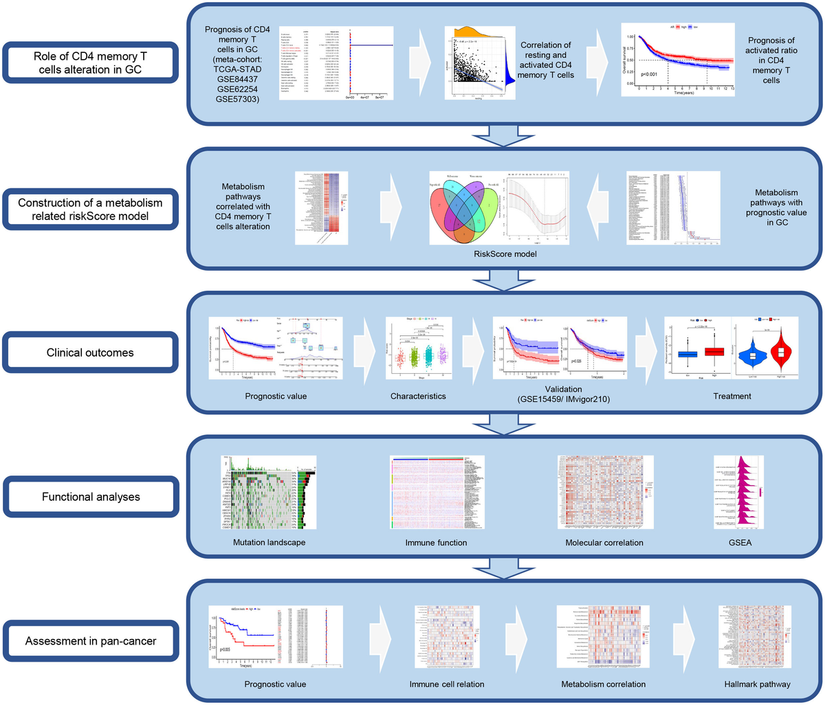 Frontiers | Metabolic reprogramming involves in transition of activated/resting CD4+ memory T ...