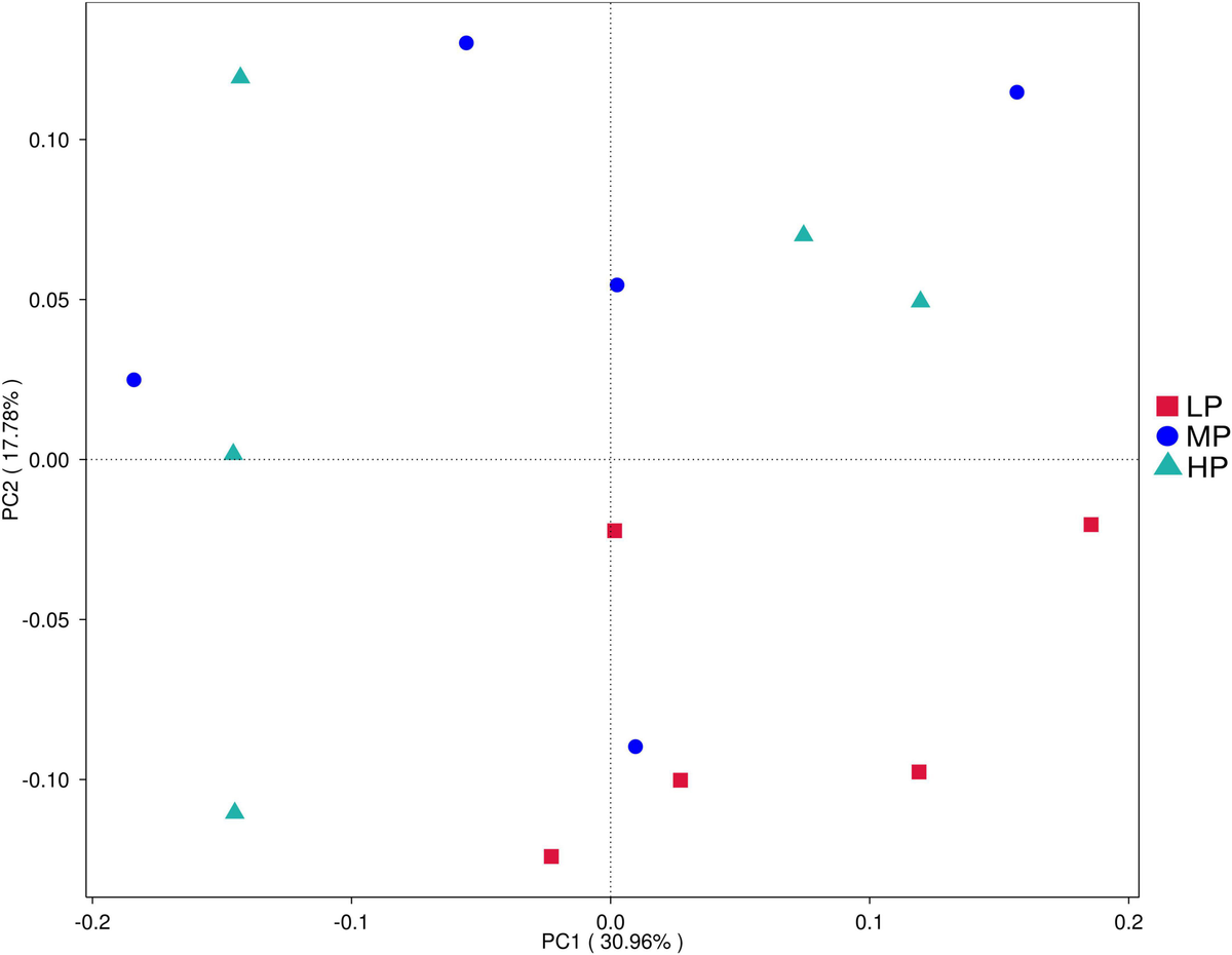 Frontiers | Ruminal microbiota and muscle metabolome characteristics of ...