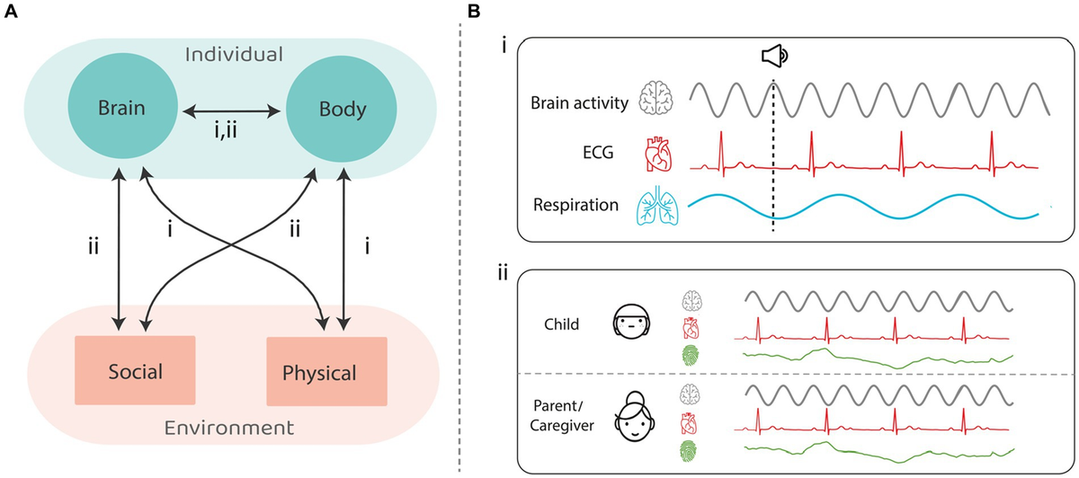Frontiers | Do we all synch alike? Brain–body-environment interactions ...