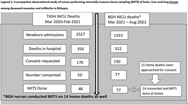 Frontiers | A prospective observational study of nurses performing ...