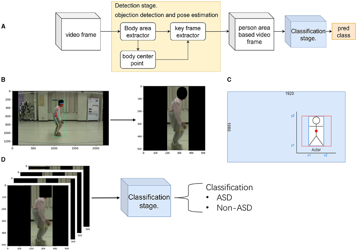 Frontiers | Two-stage video-based convolutional neural networks for adult spinal deformity ...