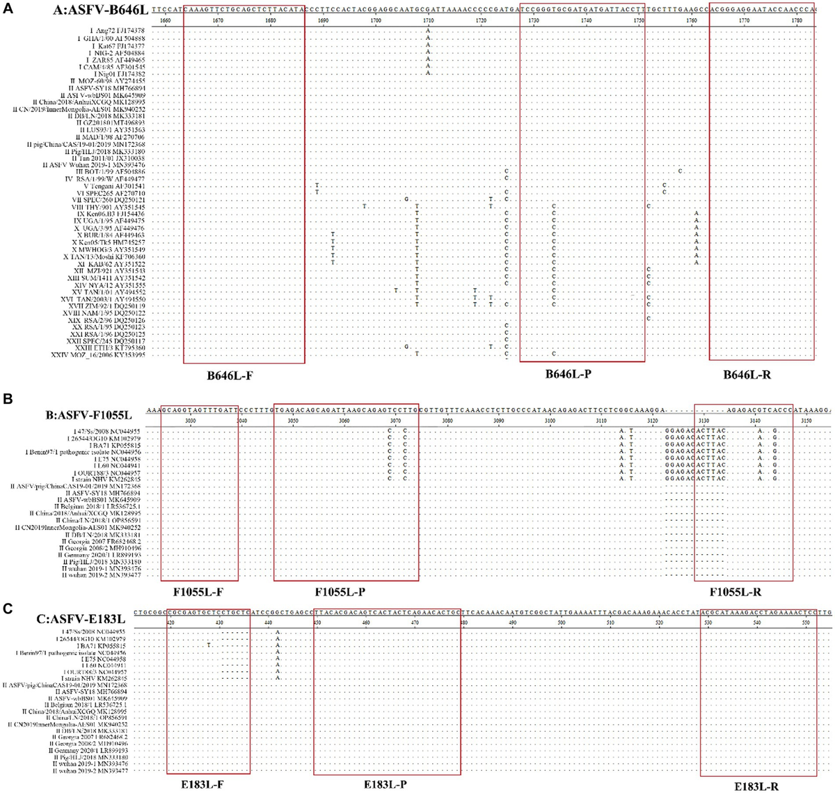 Frontiers | Development of a triplex real-time quantitative PCR for detection and ...