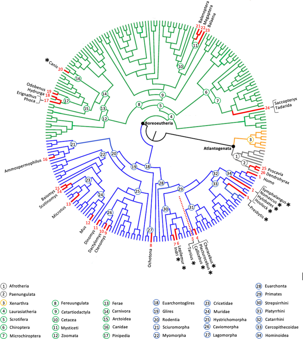Frontiers | Editorial: Duetting and turn-taking patterns of singing ...