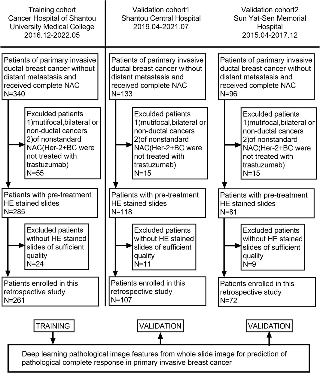Frontiers | Deep learning-based predictive model for pathological ...