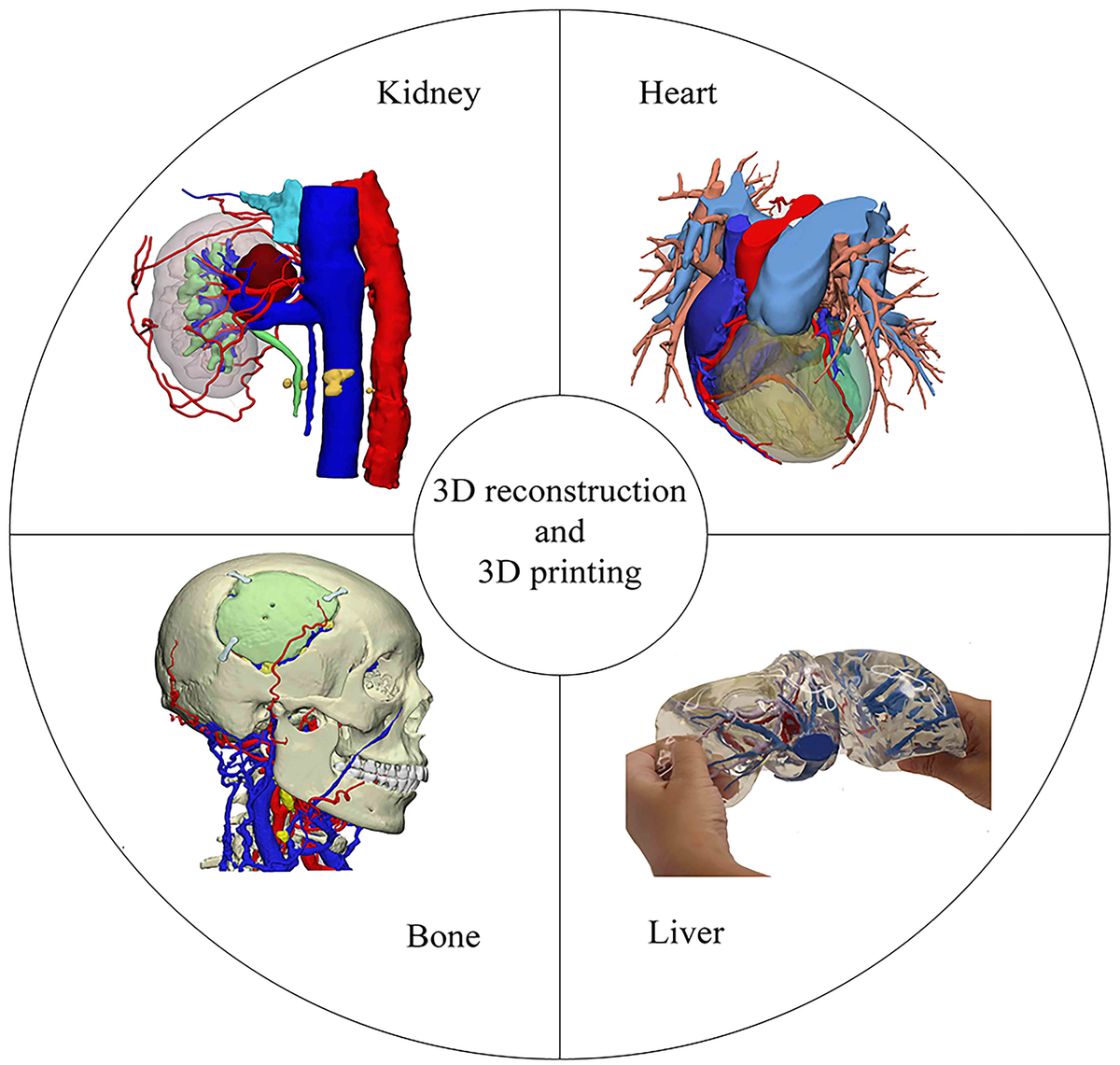 Frontiers | Application of three-dimensional technology in video ...