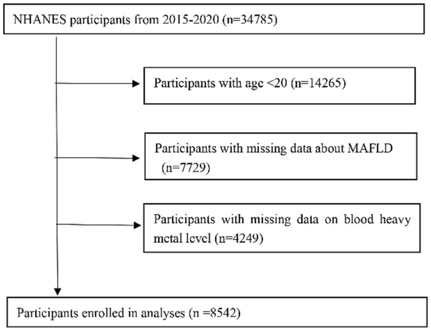 Frontiers | Association between blood heavy metal exposure levels and ...