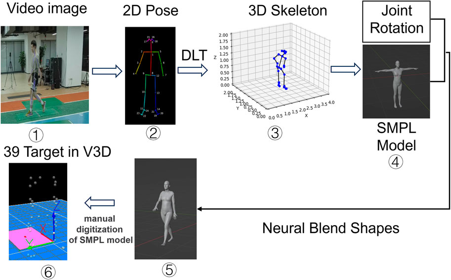 Frontiers | Comparison of kinematics and joint moments calculations for lower limbs during gait ...