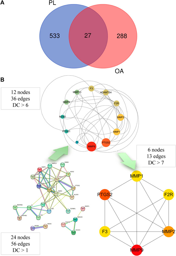 Frontiers | Network analysis, in vivo, and in vitro experiments ...