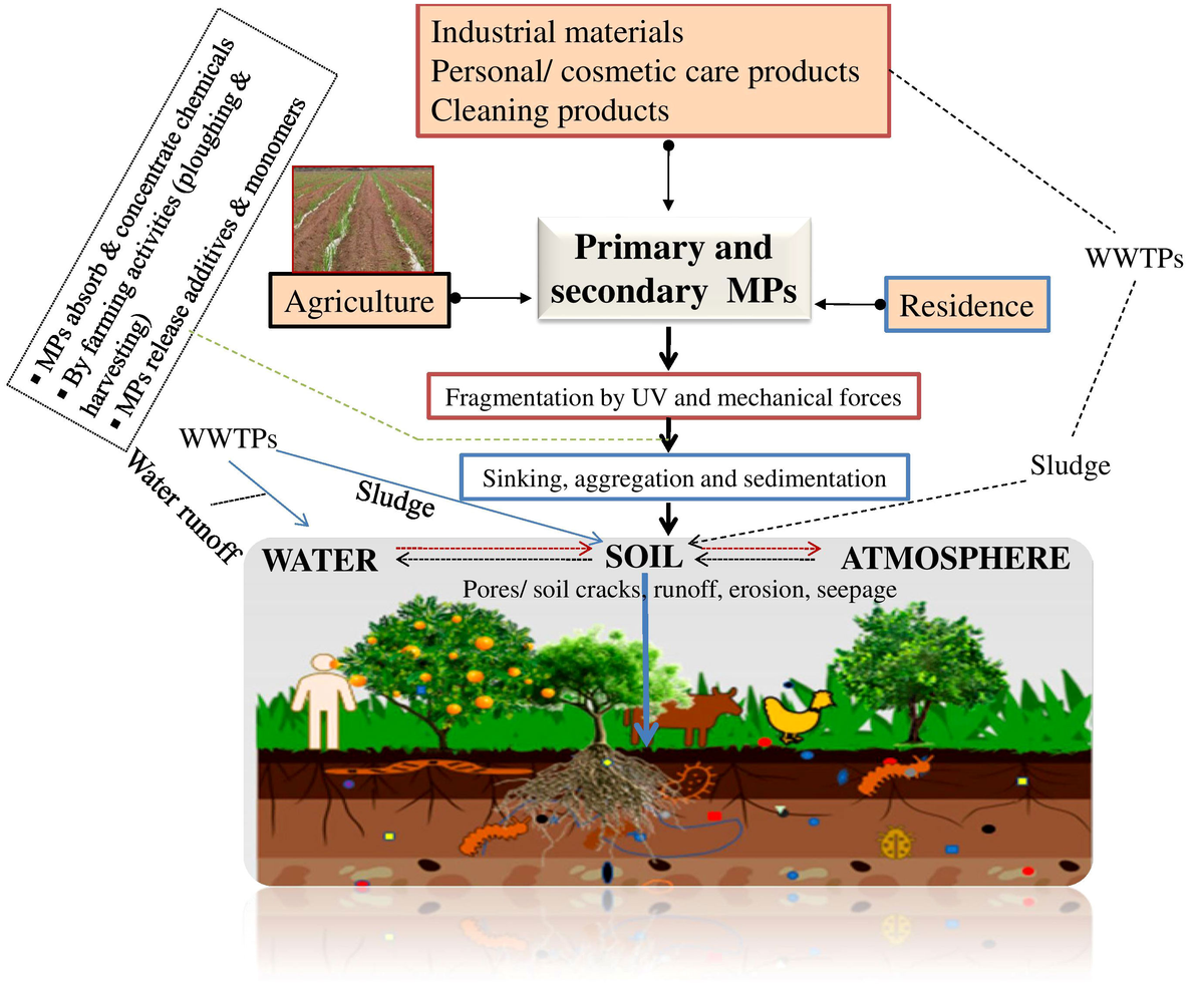 Frontiers | Nano-microplastic and agro-ecosystems: a mini-review