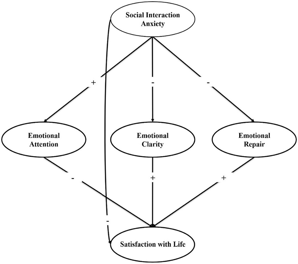 Frontiers | Mediating effect of social interaction anxiety between ...