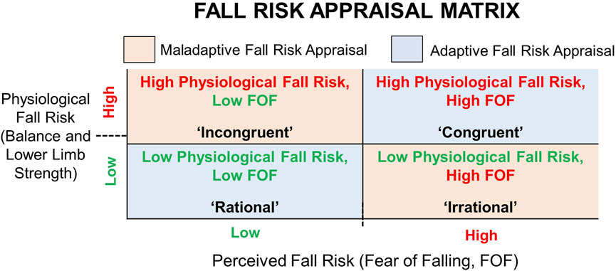 Frontiers | Associations between monitor-independent movement summary ...