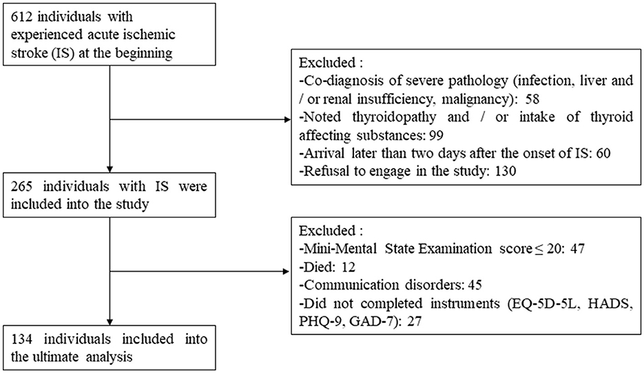 Frontiers | Psychometrics and validation of the EQ-5D-5L instrument in ...