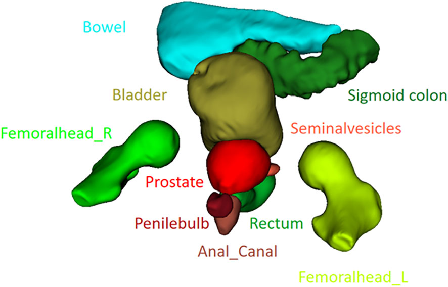 Frontiers | An open-source nnU-net algorithm for automatic segmentation of MRI scans in the male ...