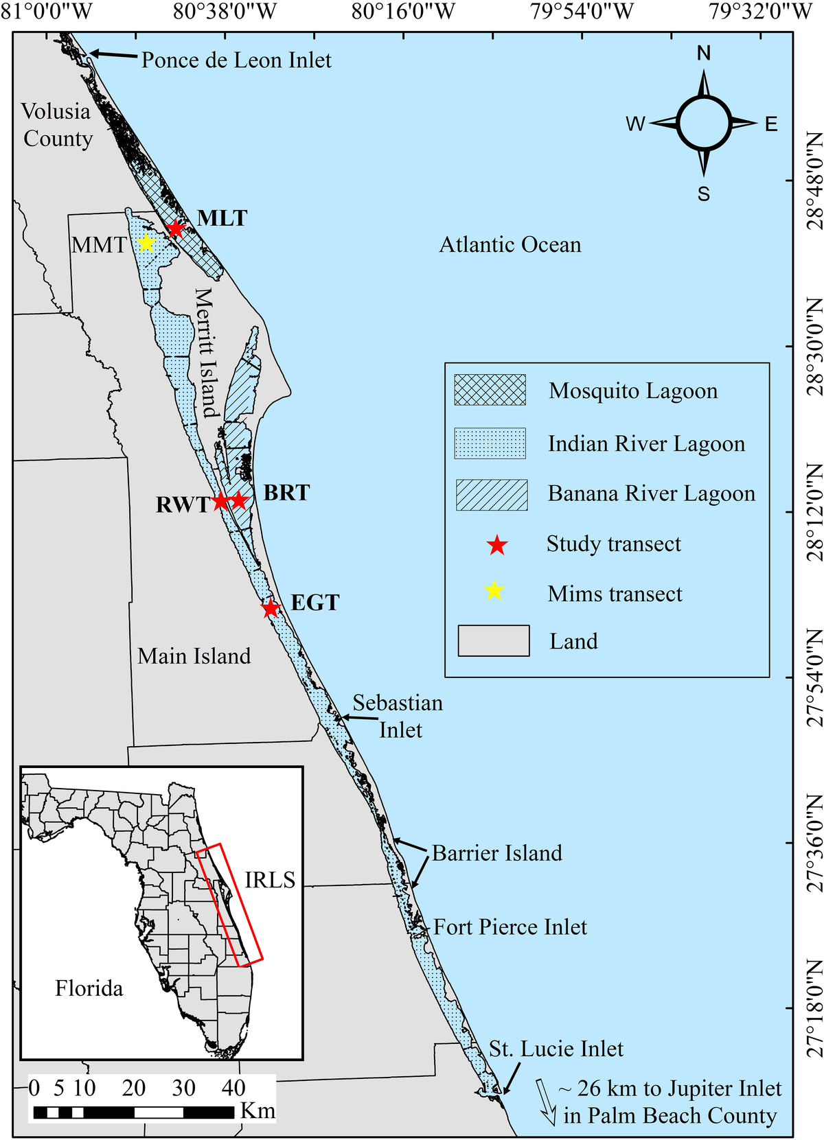 Frontiers | Groundwater nutrient loading into the northern Indian River ...