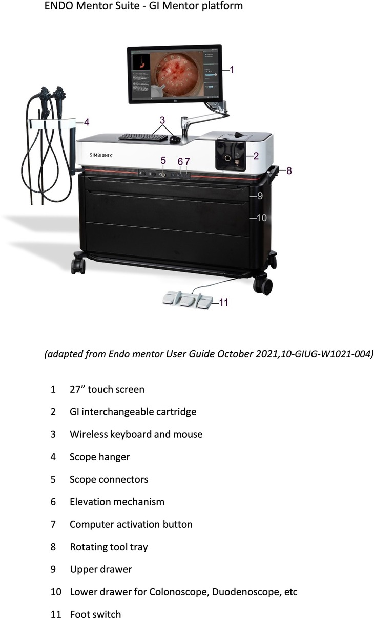 Frontiers | Validity of a virtual reality endoscopic retrograde ...