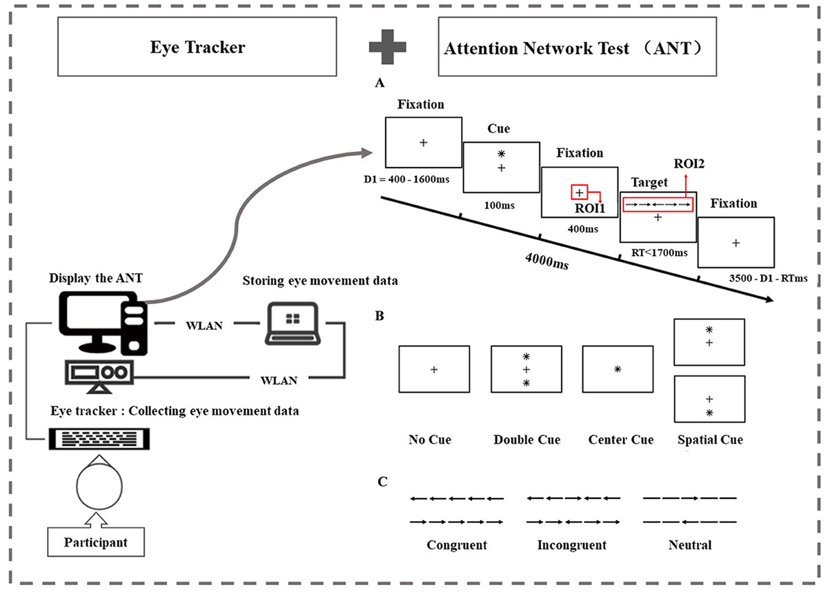 Frontiers | Impaired orienting function detected through eye movements ...